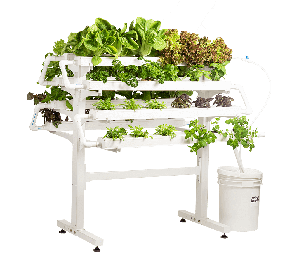 Home Made Hydroponic